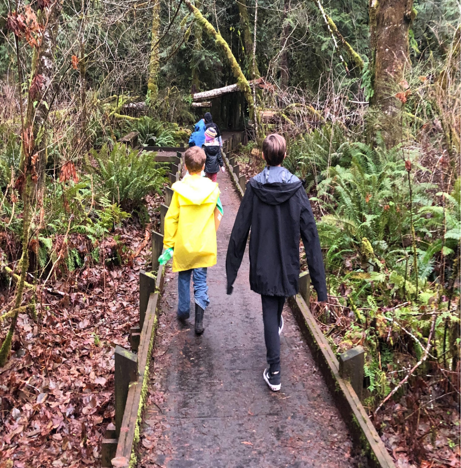 Sequoia's Treehouse Children's Center