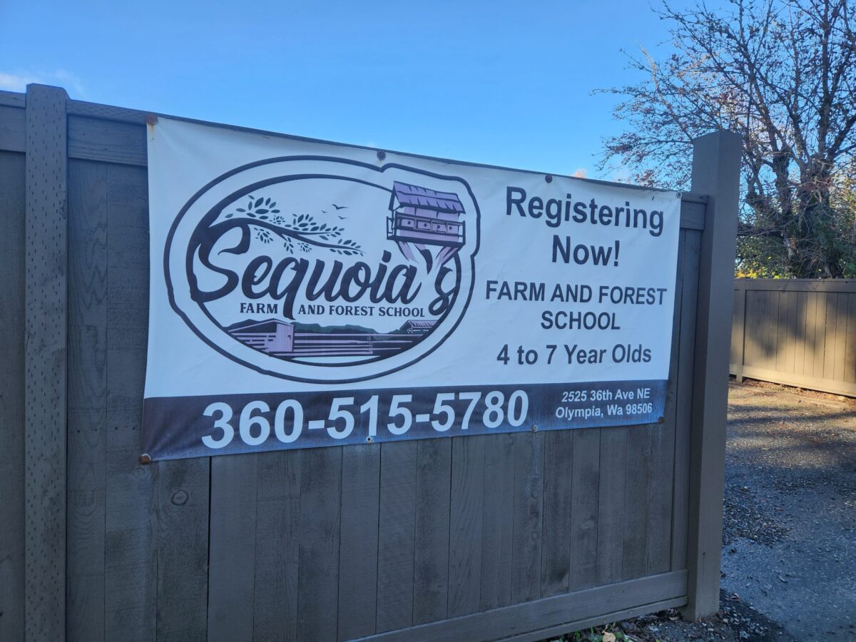 Letting Kids Be Kids – Sequoia’s Treehouse
